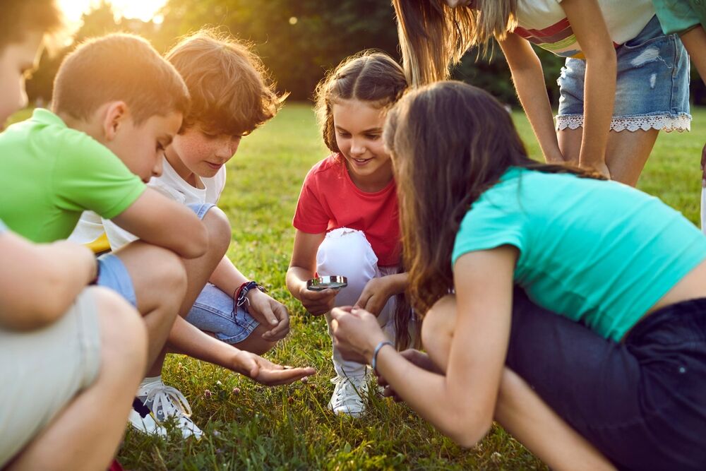 Scientific Investigation: 4 Tips for the Classroom | Alloprof