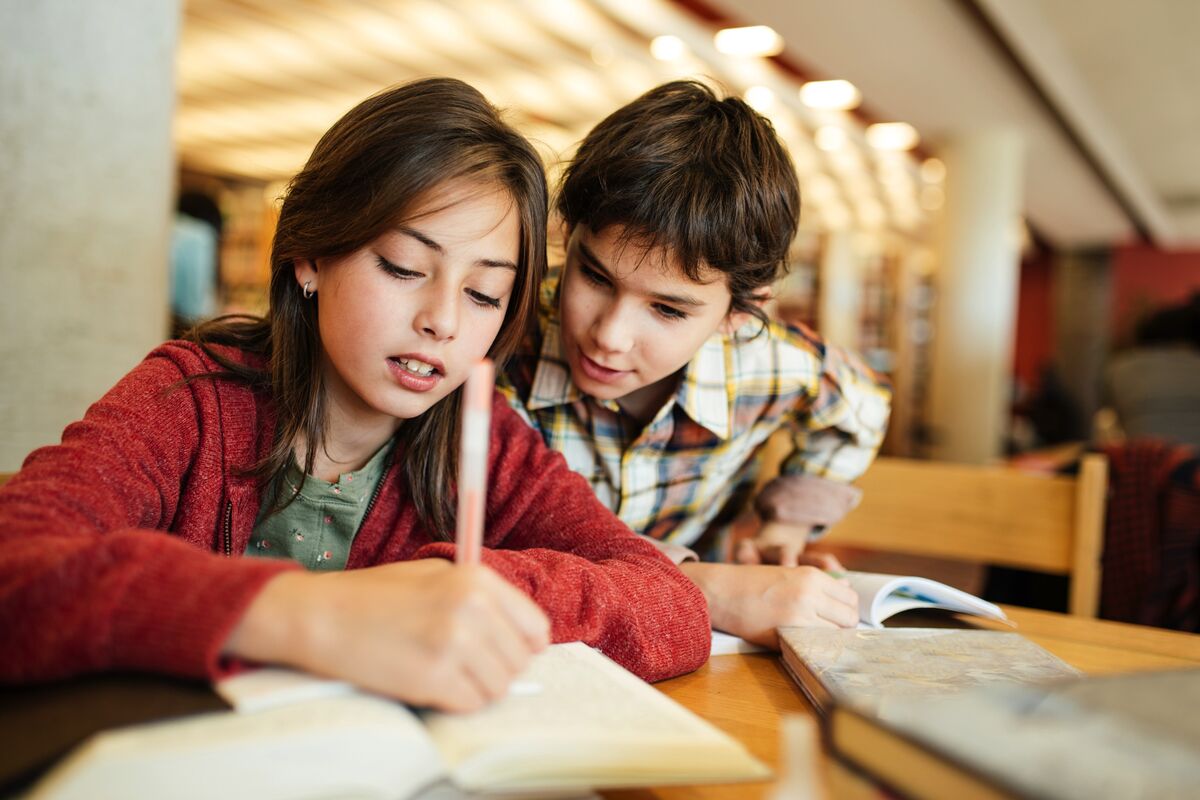 Grade 6 compulsory French examination (language of instruction) : how ...