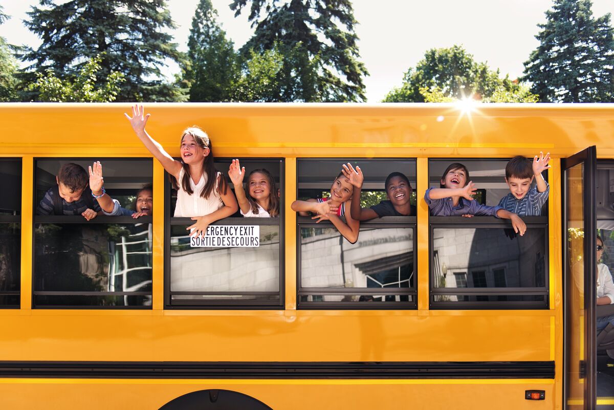 Cheminement scolaire au Québec | Alloprof
