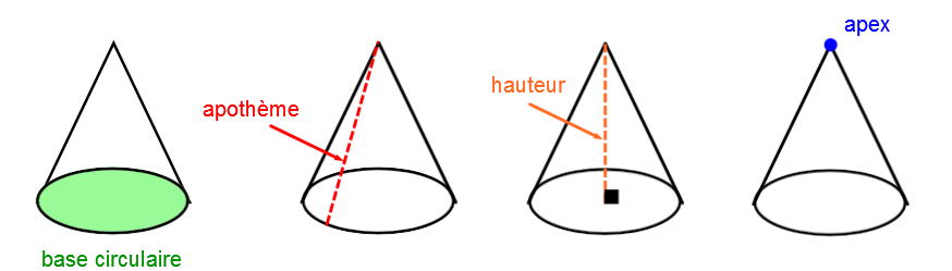 Les cônes | Secondaire | Alloprof