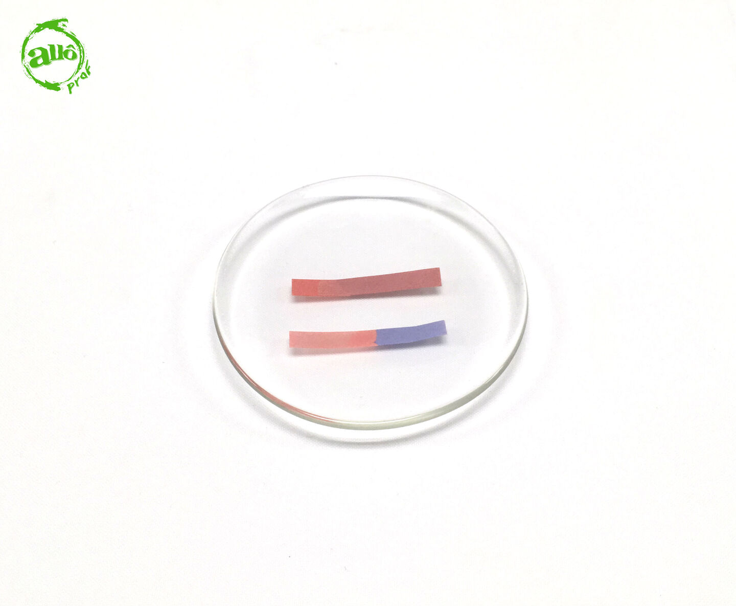 Identifying the Acid-Base Nature of a Substance | Secondaire | Alloprof