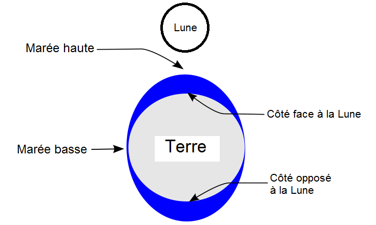 Le système Terre-Lune et les marées | Secondaire | Alloprof