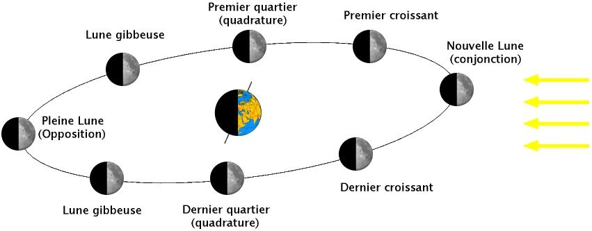 La lumière et ses propriétés | Secondaire | Alloprof