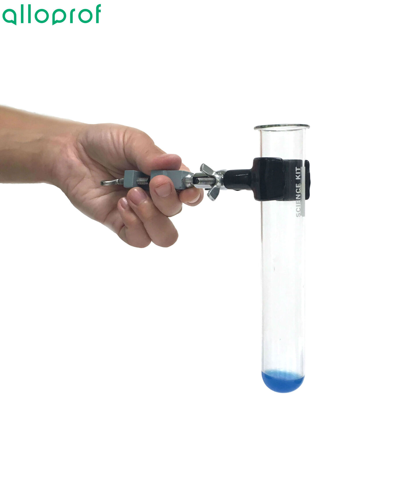 L'identification des substances nutritives | Alloprof