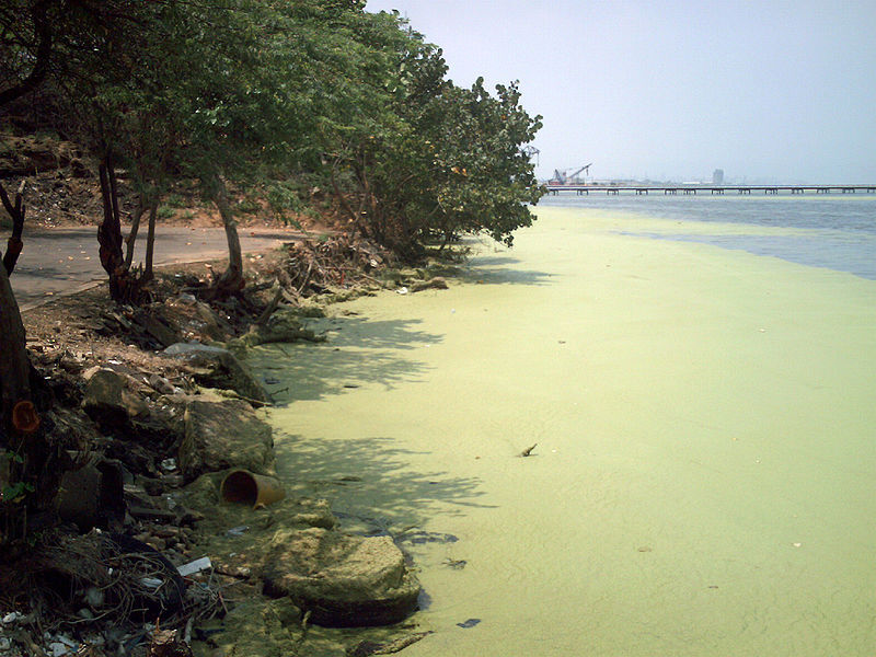 La contamination de l'eau | Alloprof