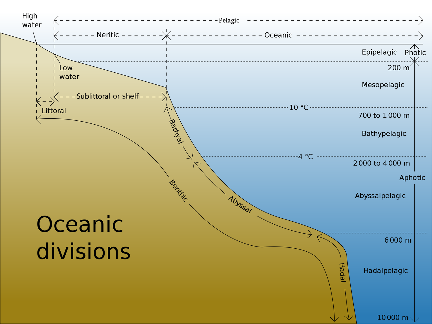 Aquatic Biomes | Secondaire | Alloprof