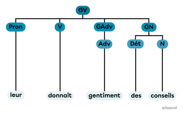 Le groupe verbal (GV) | Secondaire | Alloprof
