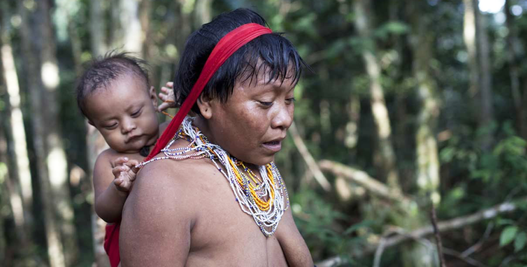 Le territoire forestier de l'Amazonie | Secondaire | Alloprof