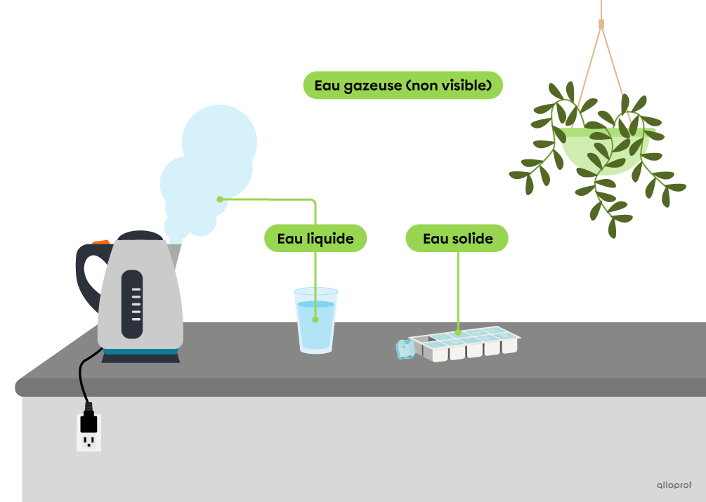 Les états de la matière | Secondaire | Alloprof