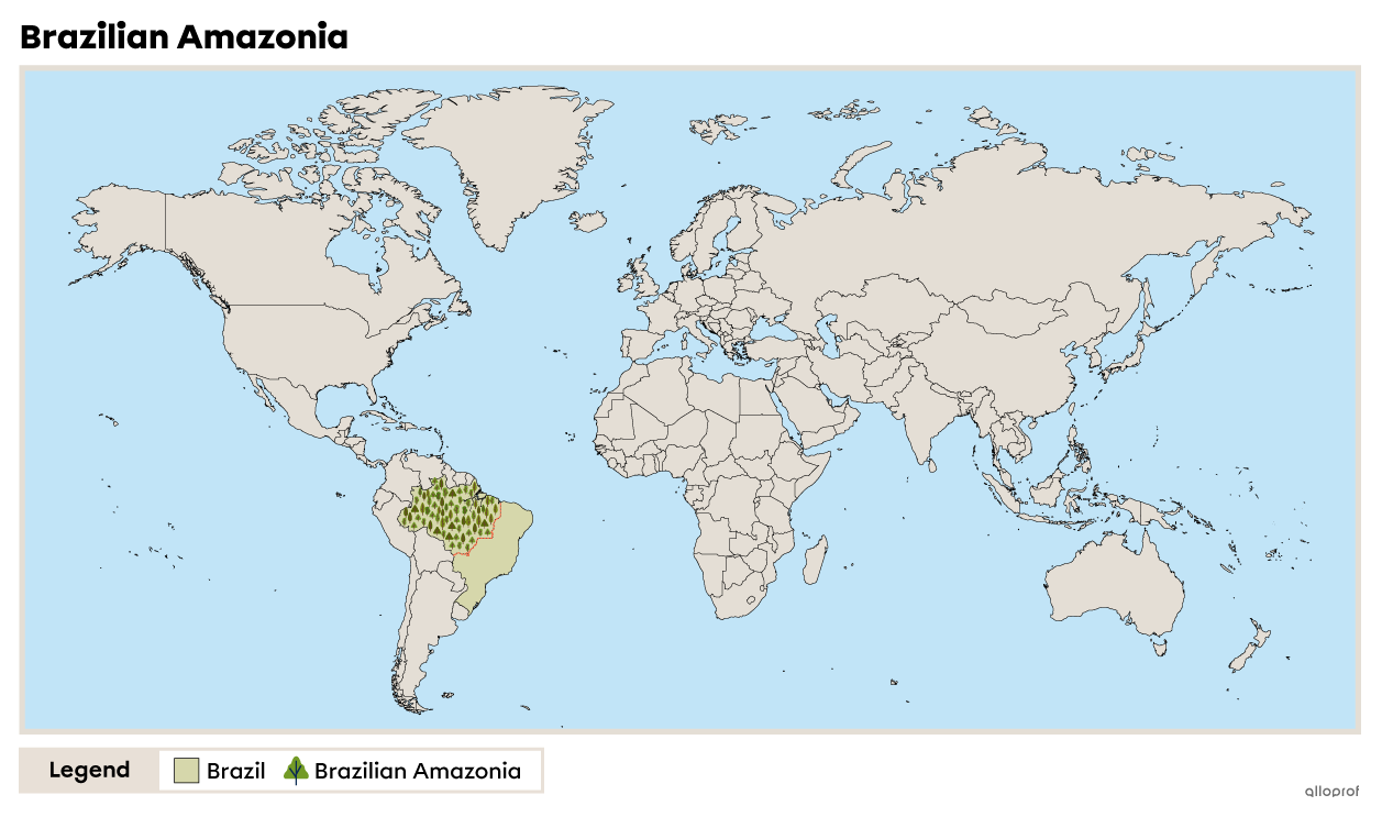 The Amazonia Forest Region | Secondaire | Alloprof