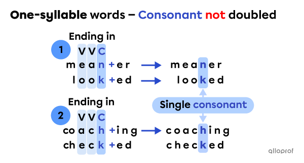 Double Consonants—Spelling Rules | Alloprof