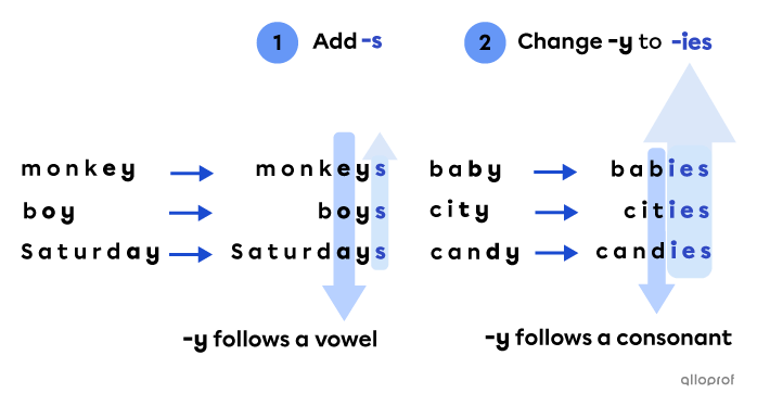 Plural Spellings—Spelling Rules | Alloprof