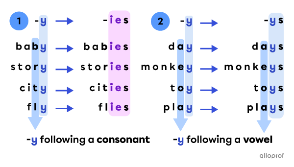 Words Ending in -Y—Spelling Rules | Alloprof
