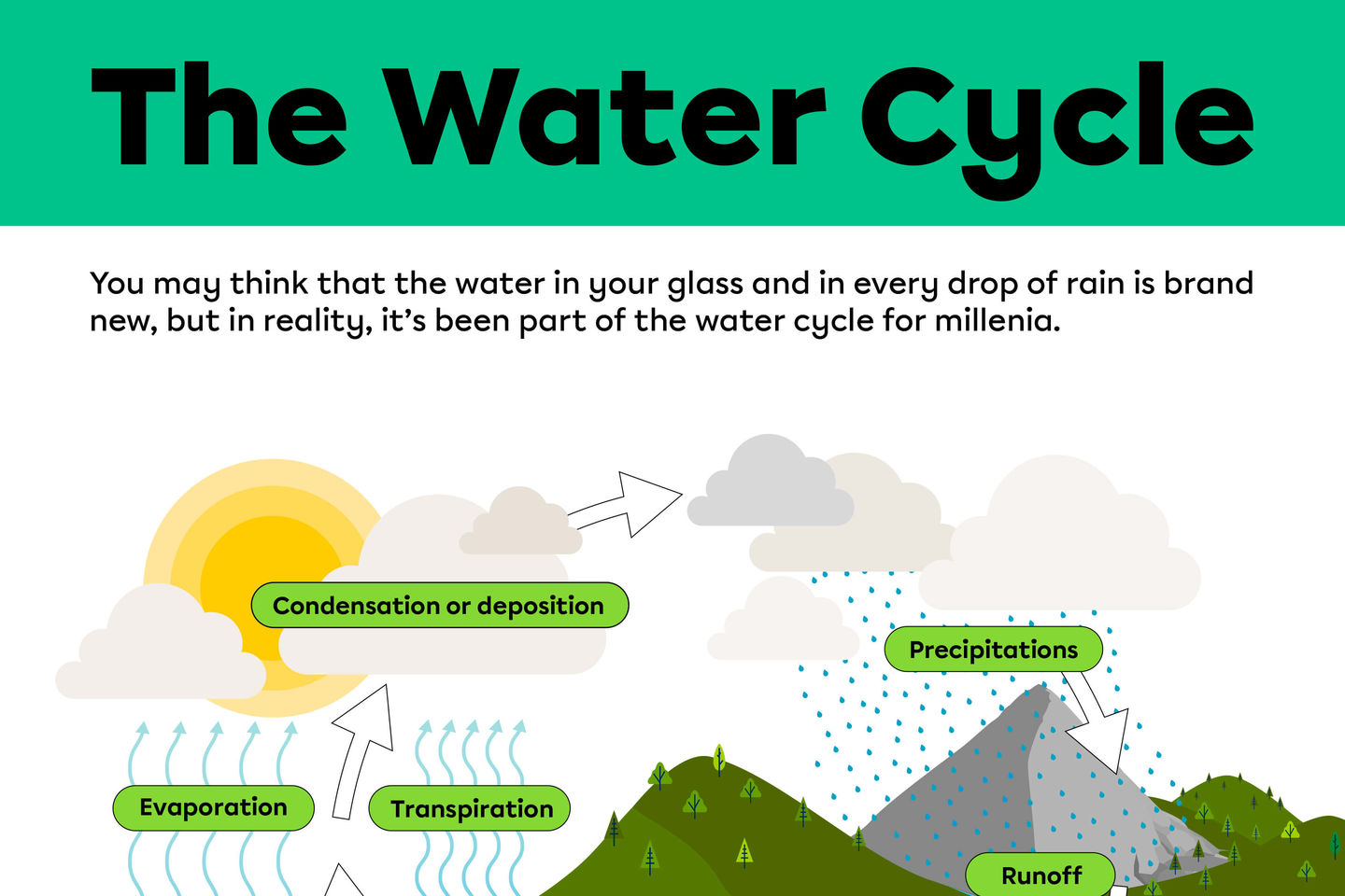 Poster: The Water Cycle | Alloprof