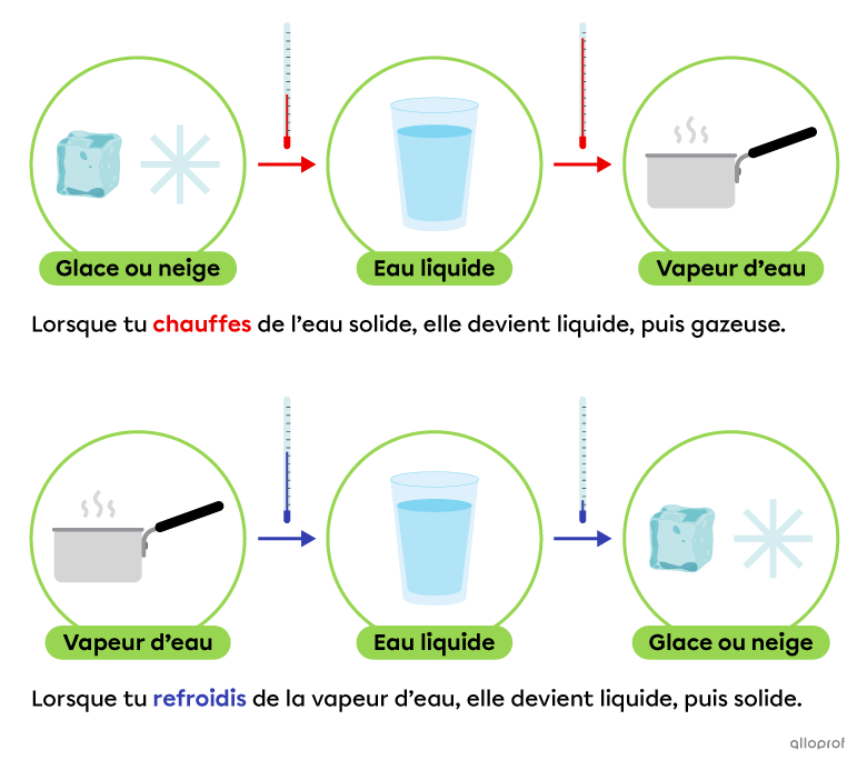 L’état solide, liquide et gazeux | Primaire | Alloprof