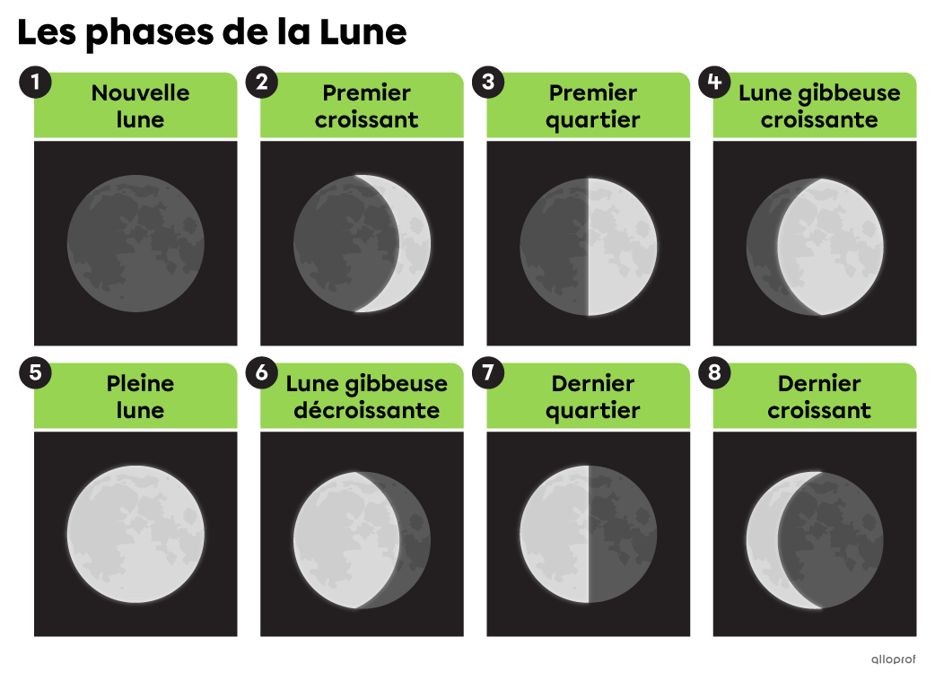 Les phases de la Lune | Primaire | Alloprof