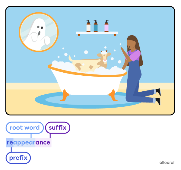 Prefixes & Suffixes | Alloprof