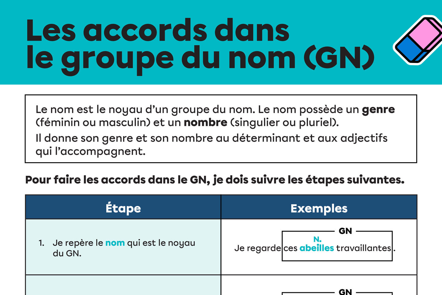 Affiche : Les accords dans le groupe du nom (GN) | Alloprof