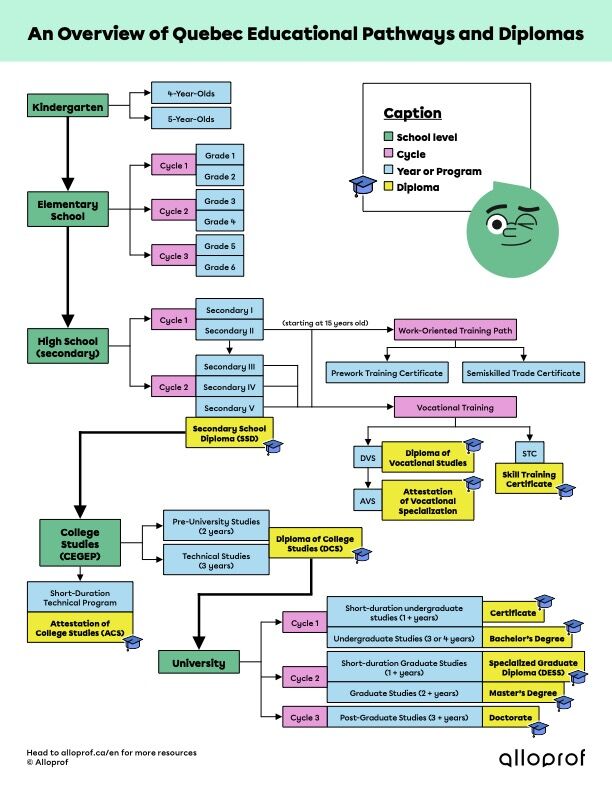 Quebec Educational Pathways and Diplomas at a Glance | Alloprof
