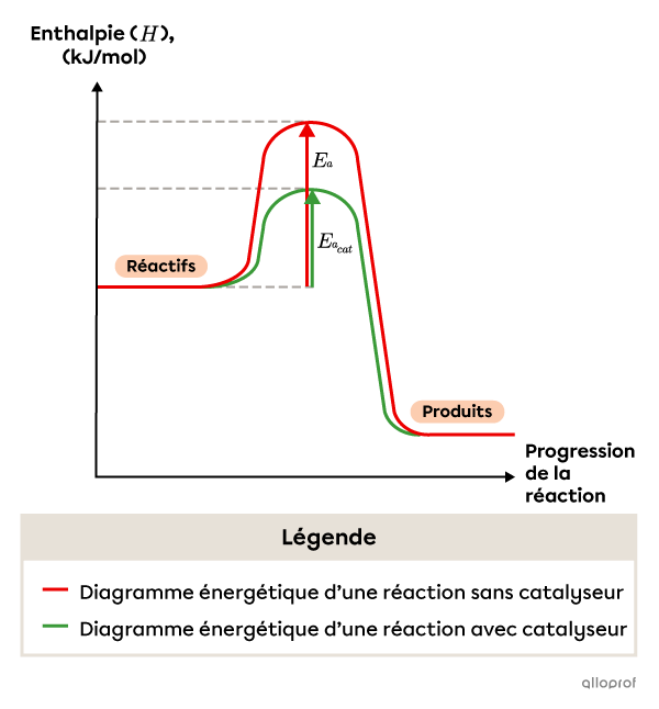 Les catalyseurs | Alloprof