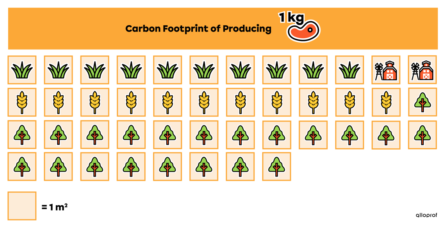 Ecological Footprint | Secondary | Alloprof