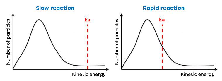 The Activated Complex and the Activation Energy | Alloprof