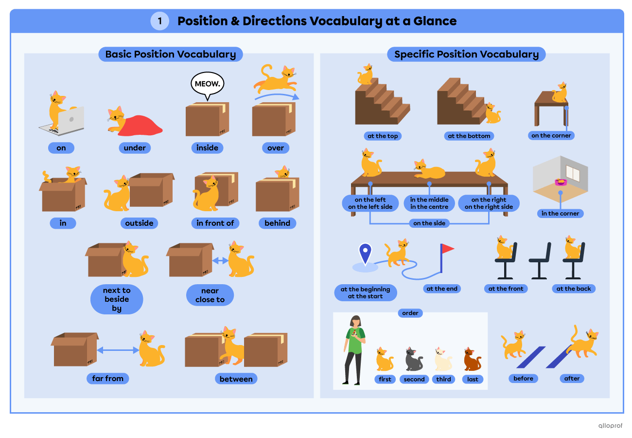 What Is the Vocabulary for Position & Directions? | Grades 3-6 | Alloprof