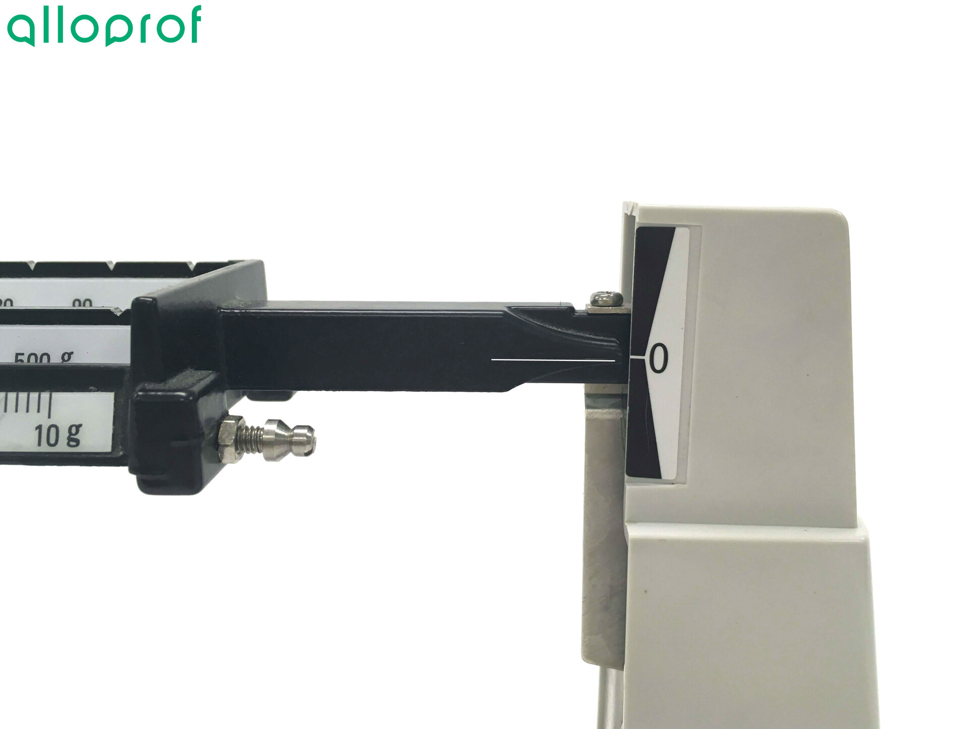 The Mass Measurement of a Solid | Alloprof
