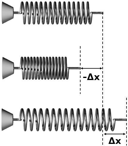 Hooke's Law | Alloprof