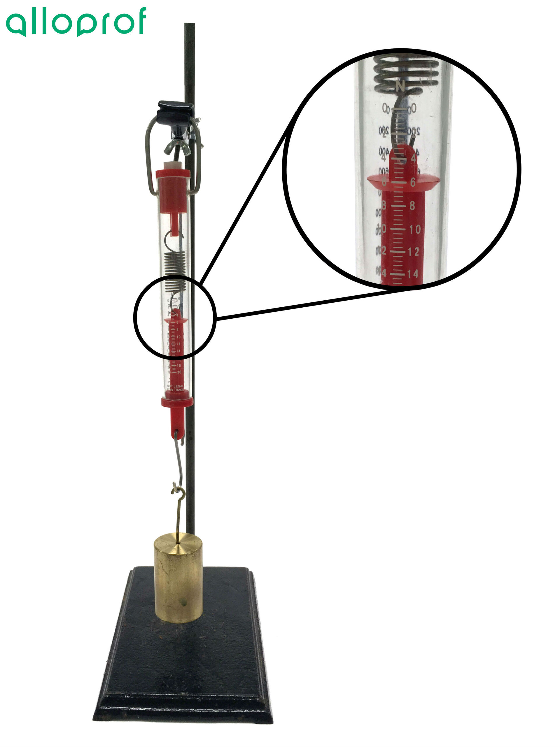Force Measurement (Dynamometer) | Secondaire | Alloprof