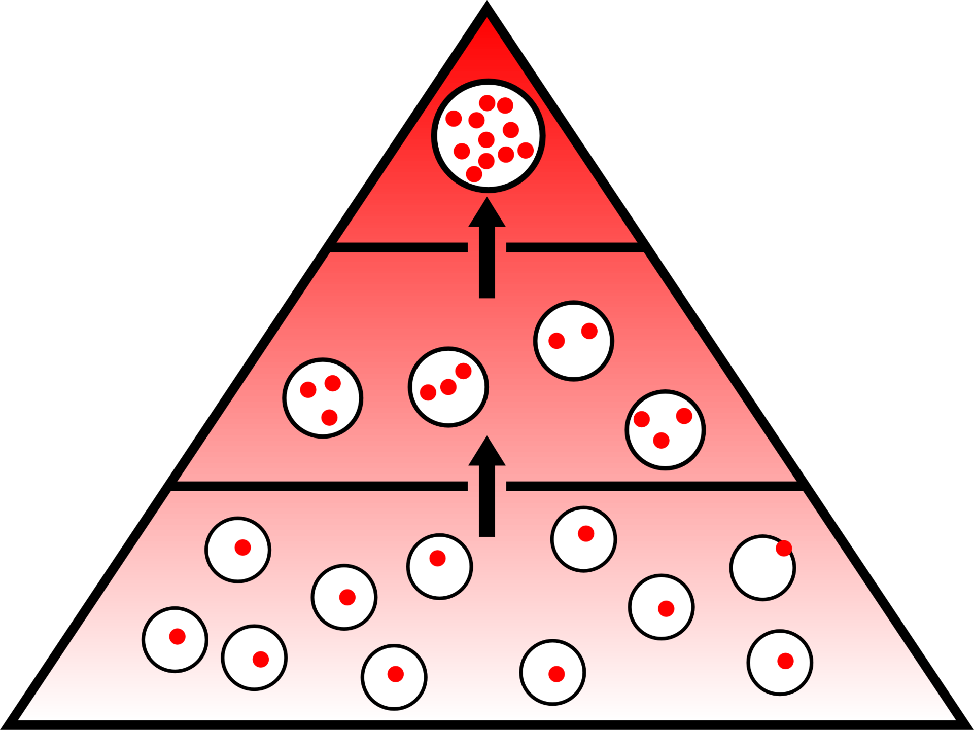 Bioaccumulation, Biomagnification, and Bioconcentration | Secondaire ...