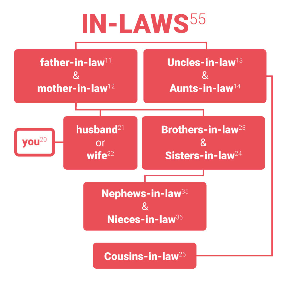 Family & Relatives – Vocabulary | Alloprof