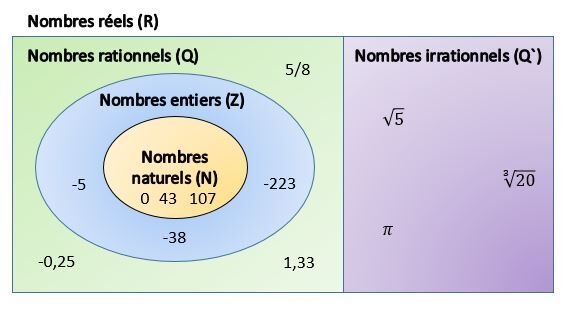 Les nombres réels (R) | Alloprof