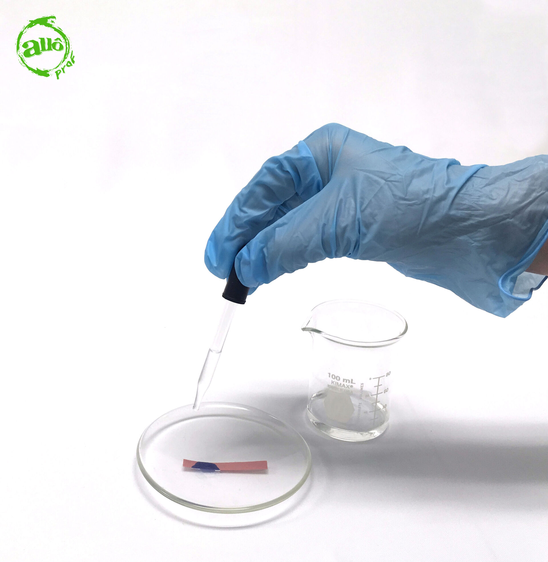 Identifying the Acid-Base Nature of a Substance | Secondaire | Alloprof