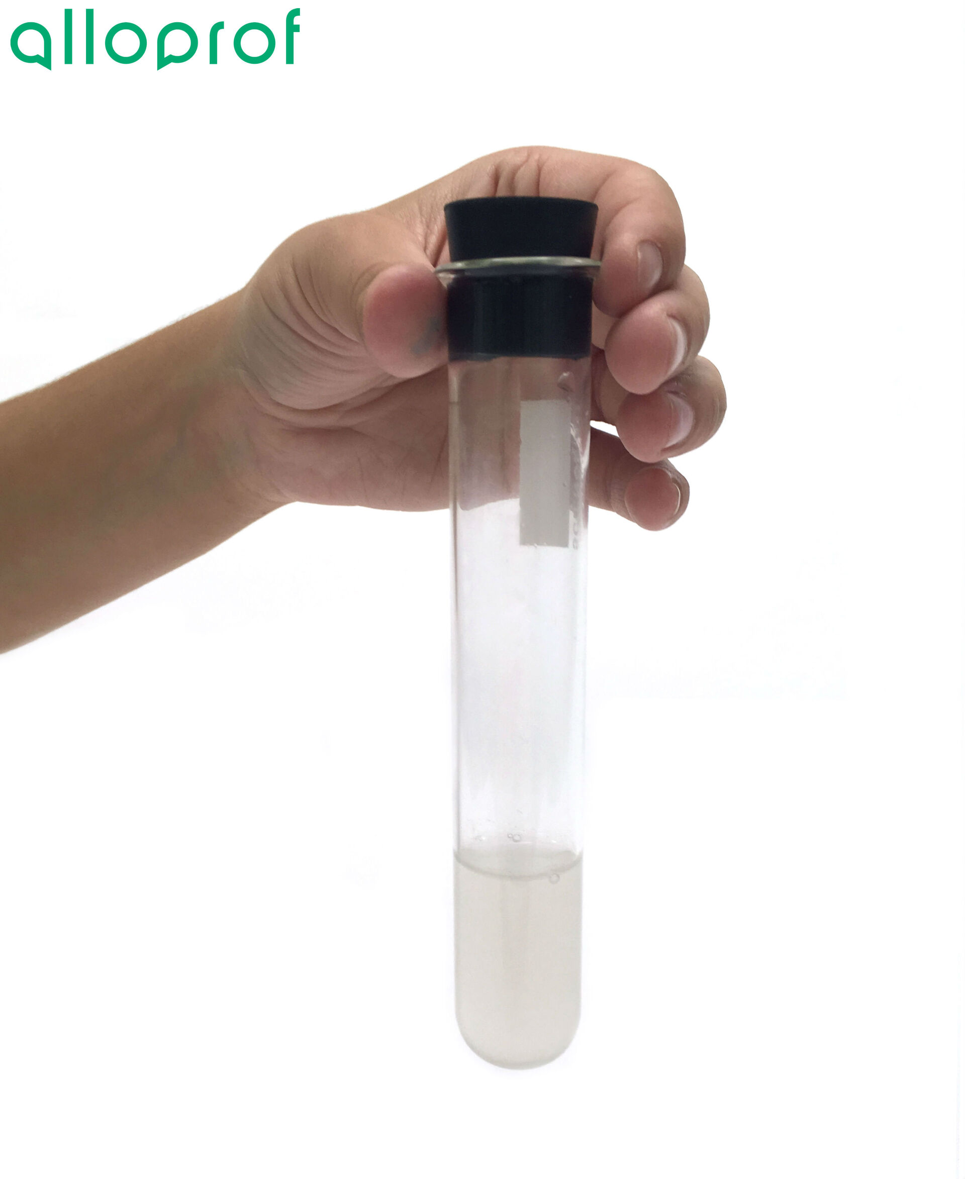 Identification Tests for Certain Gases | Secondaire | Alloprof