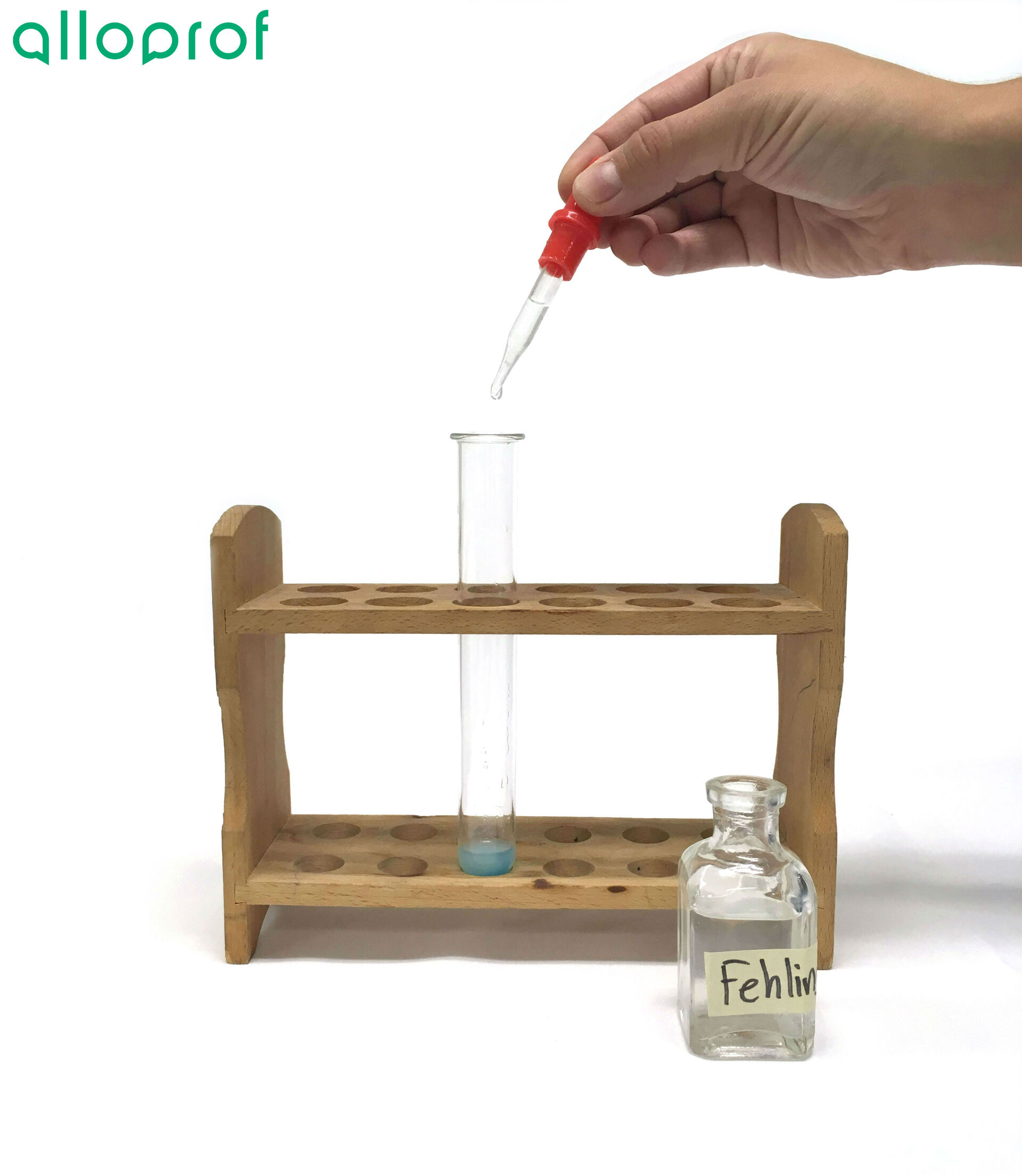 L'identification des substances nutritives | Alloprof