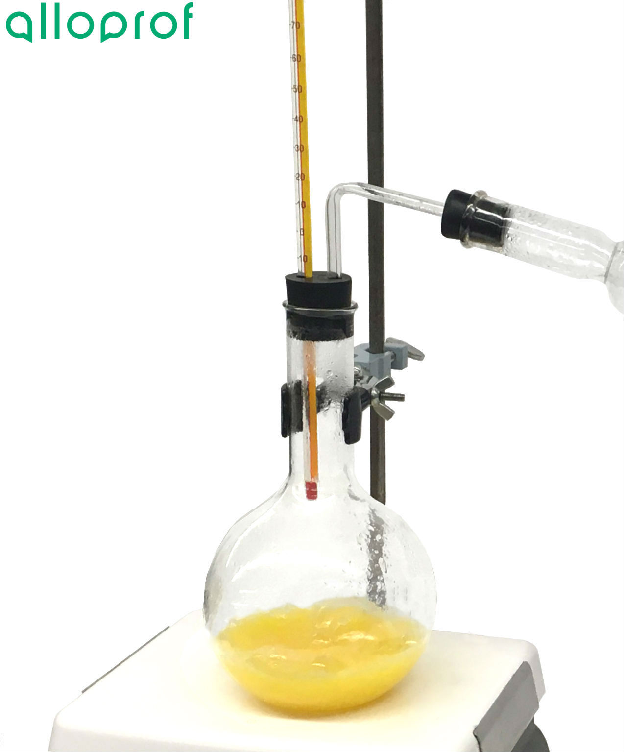 Techniques for Separating Mixtures (Lab) | Secondary | Alloprof