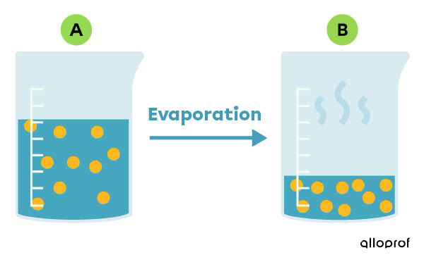 Mixture Separation Techniques (Theory) | Secondaire | Alloprof