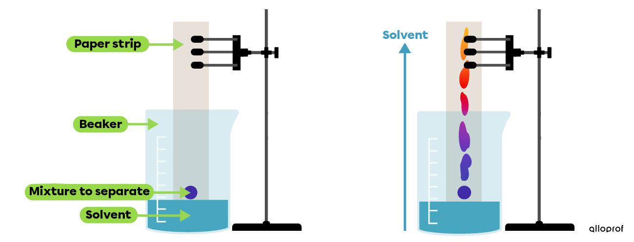 Mixture Separation Techniques (Theory) | Secondaire | Alloprof