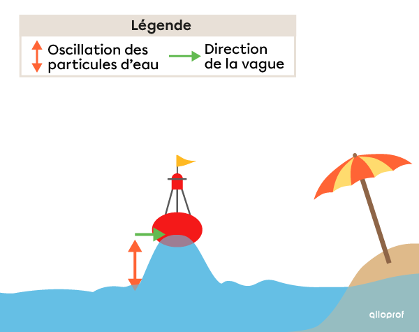La classification des ondes (notions avancées) | Secondaire | Alloprof