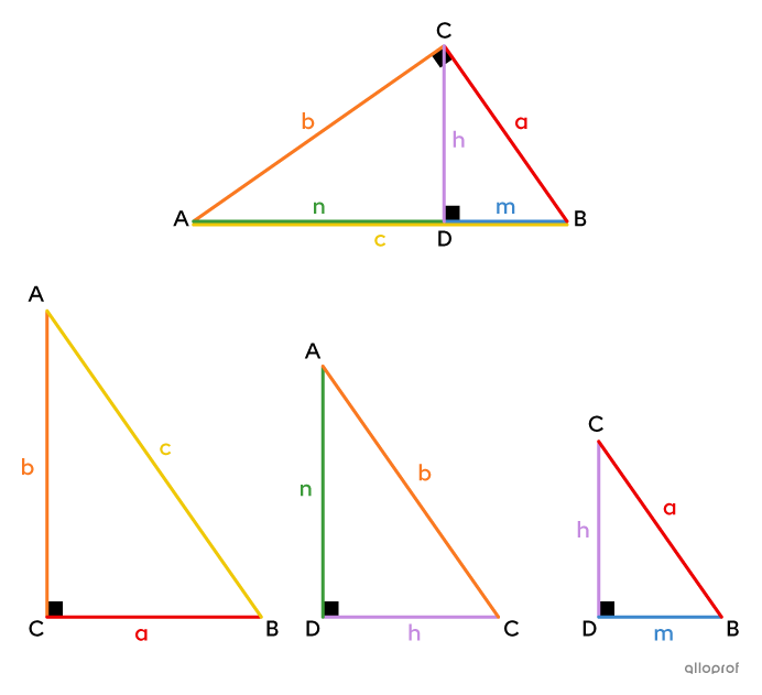 Metric Relations in a Right Triangle | Secondaire | Alloprof