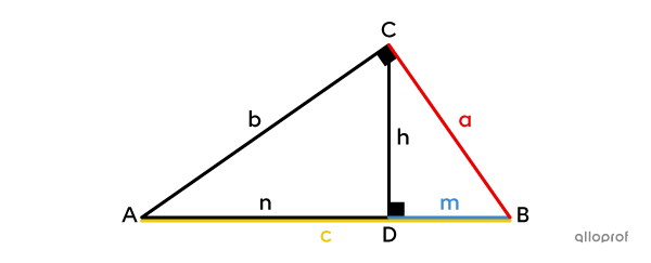 Les relations métriques dans le triangle rectangle | Secondaire | Alloprof