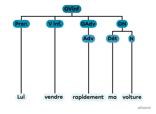 Le groupe verbal à l'infinitif (GVinf) | Secondaire | Alloprof