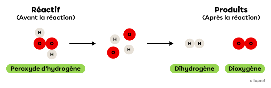 Les réactions chimiques | Secondaire | Alloprof