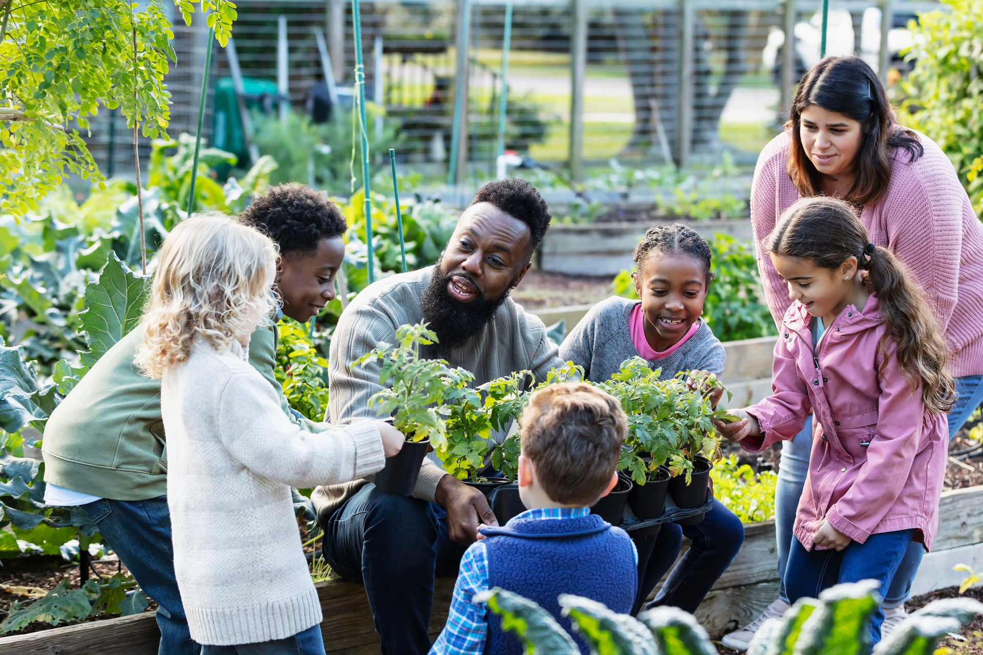 5 activités éducatives d’Alloprof pour célébrer le printemps avec sa ...