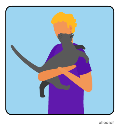 Possessive Noun Form | Secondaire | Alloprof