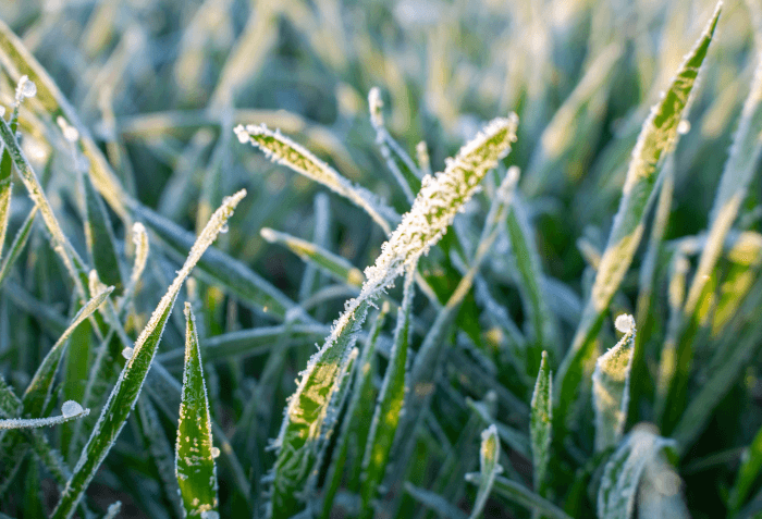 Changes of State | Secondaire | Alloprof