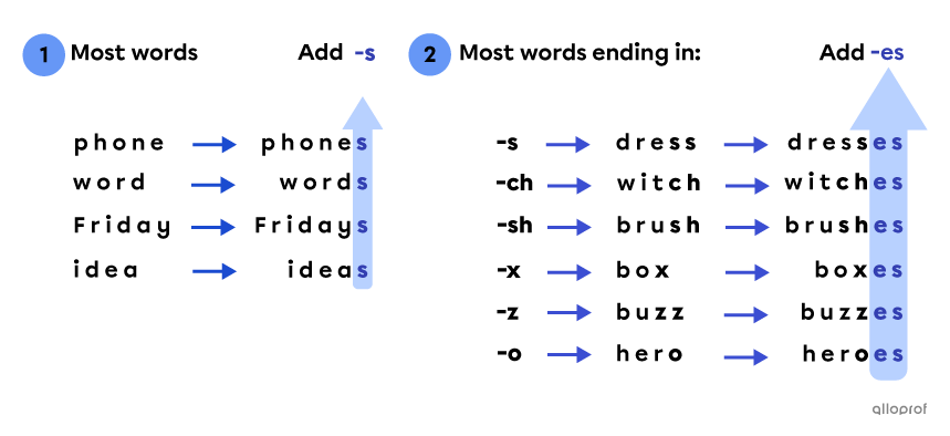 Plural Spellings—Spelling Rules | Alloprof