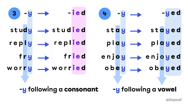 Words Ending in -Y—Spelling Rules | Alloprof