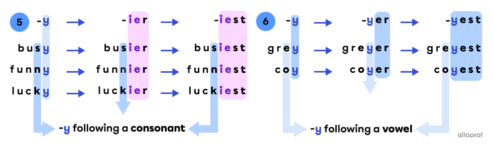 Words Ending in -Y—Spelling Rules | Alloprof